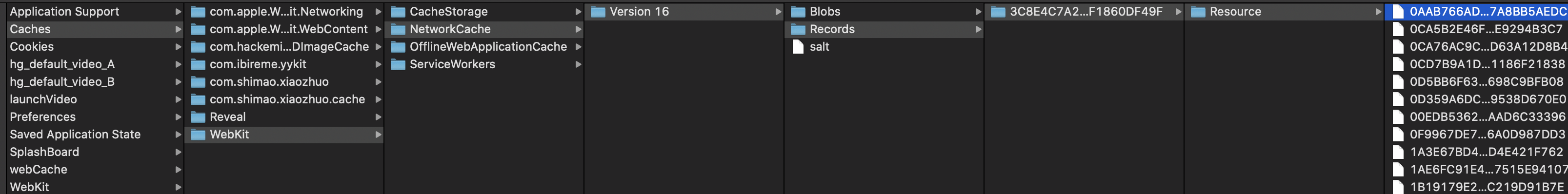 iOS关于WKWebView缓存总结 - 梁飞宇 - 博客园