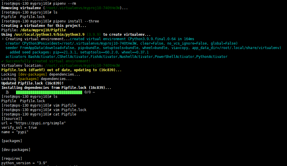 Python pipenv Doublexi 