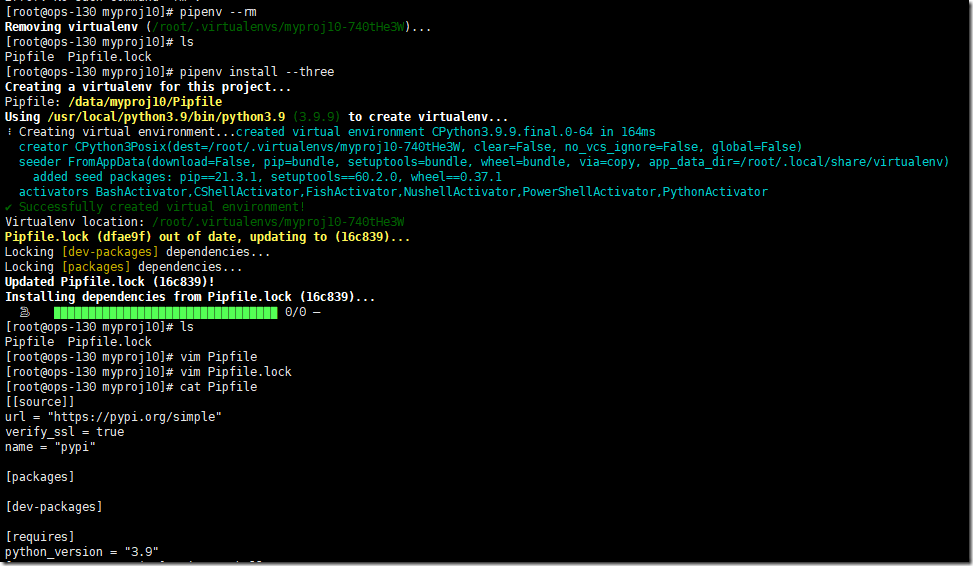 Python pipenv Doublexi 
