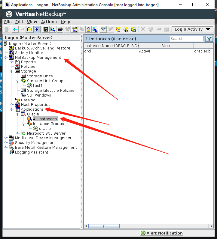 NetBackup8.1 安装 - 雨生啊 - 博客园