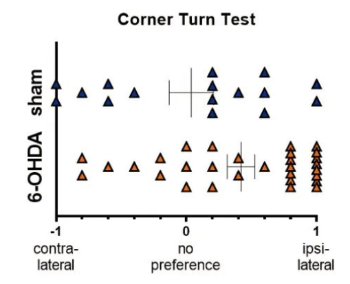 大鼠神经功能及行为学评价方法 - b-xl - 博客园