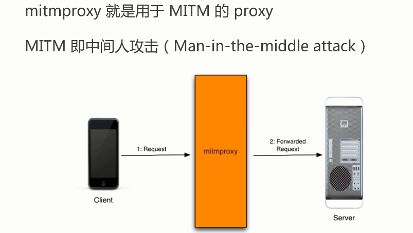 抓包工具mitmproxy - 始终不够啊 - 博客园