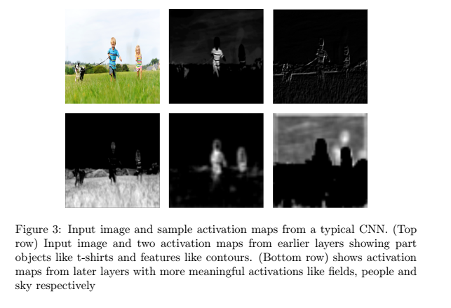 图像分割综述阅读——Understanding Deep Learning Techniques for Image Segmentation - 青衣素 - 博客园