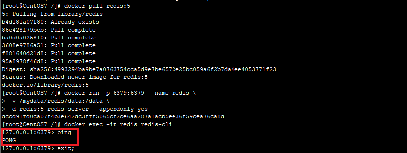基于Docker容器安装MySQL、Redis、Nginx、RabbitMQ - 程序员波特 - 博客园