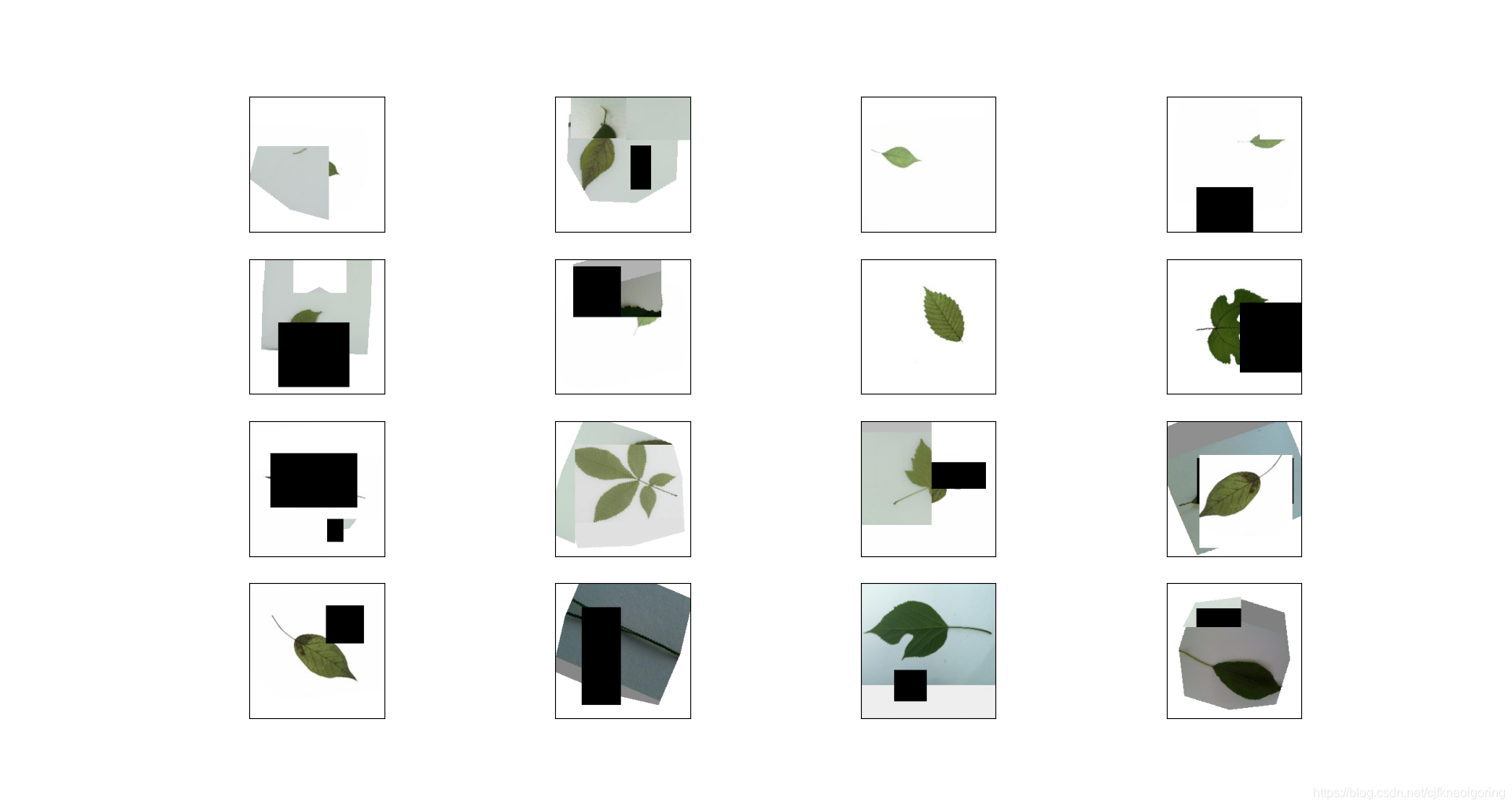 Kaggle树叶分类Leaves Classify总结 - EAIOT - 博客园