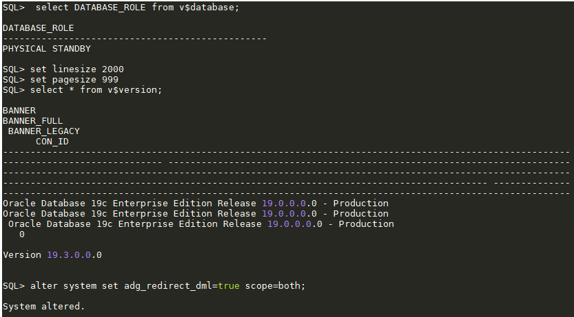 Oracle 19c 新特性之一,adg的自动 dml 重定向.就是在 ADG 环境下,连接到 standby 的数据库执行 dml. - 恒久信心 - 博客园