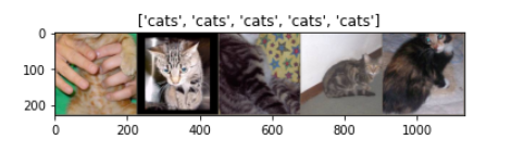 使用VGG模型进行猫狗大战 - Kerin637 - 博客园