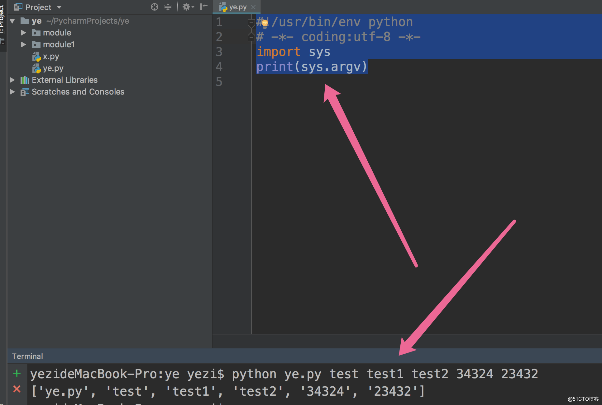 Python sys 