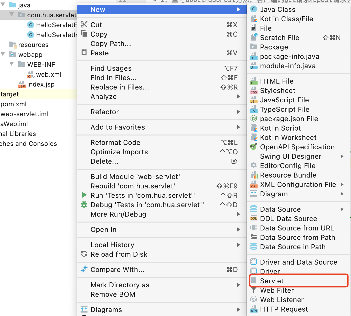 【Servlet 5.0】入门教程 - Mr_黎 - 博客园