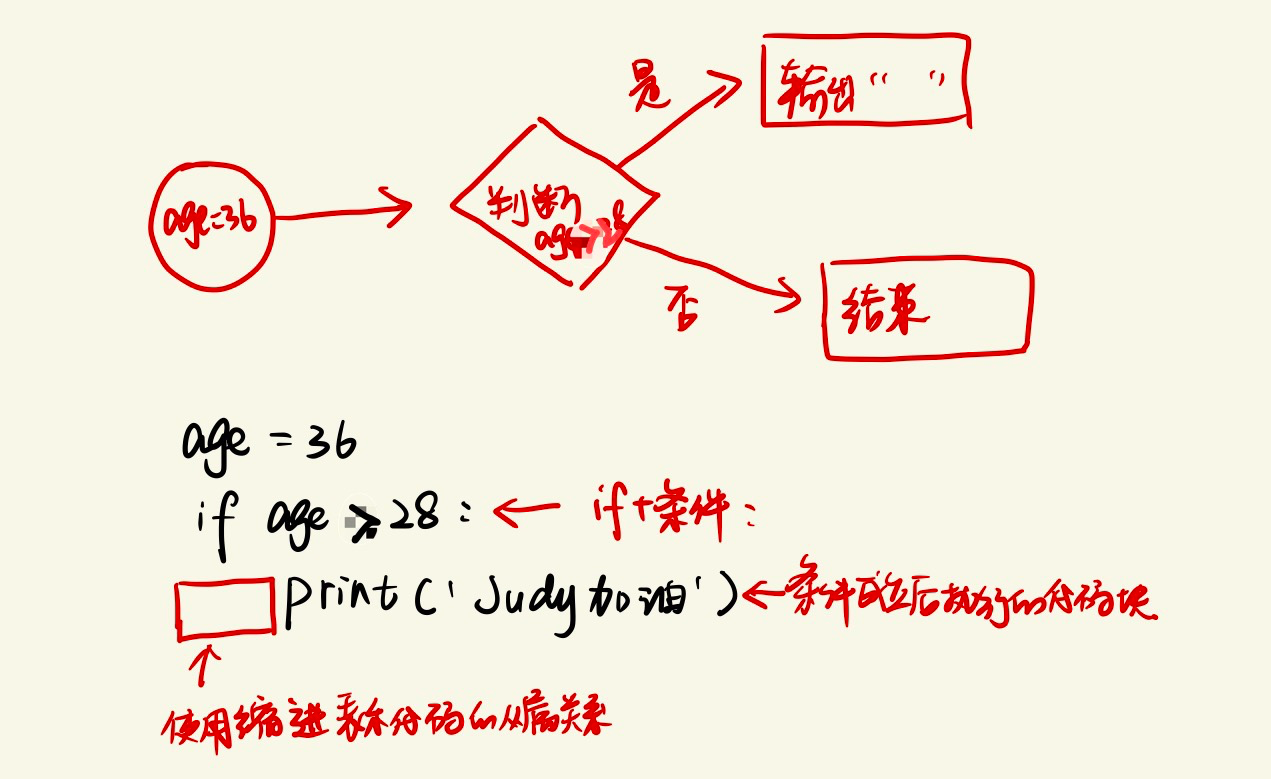 Python流程控制 - JudyJU - 博客园