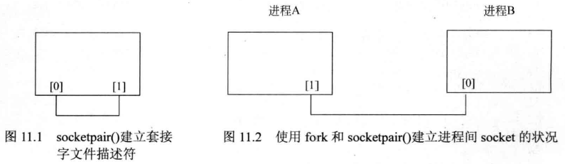 linux网络编程（十一）UNIX域套接字与数据链路层 - chenjy2019 - 博客园