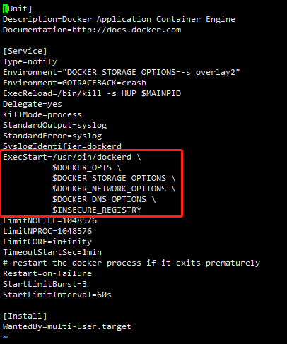 docker启动问题排查：the following directives are specified both as a flag and ...